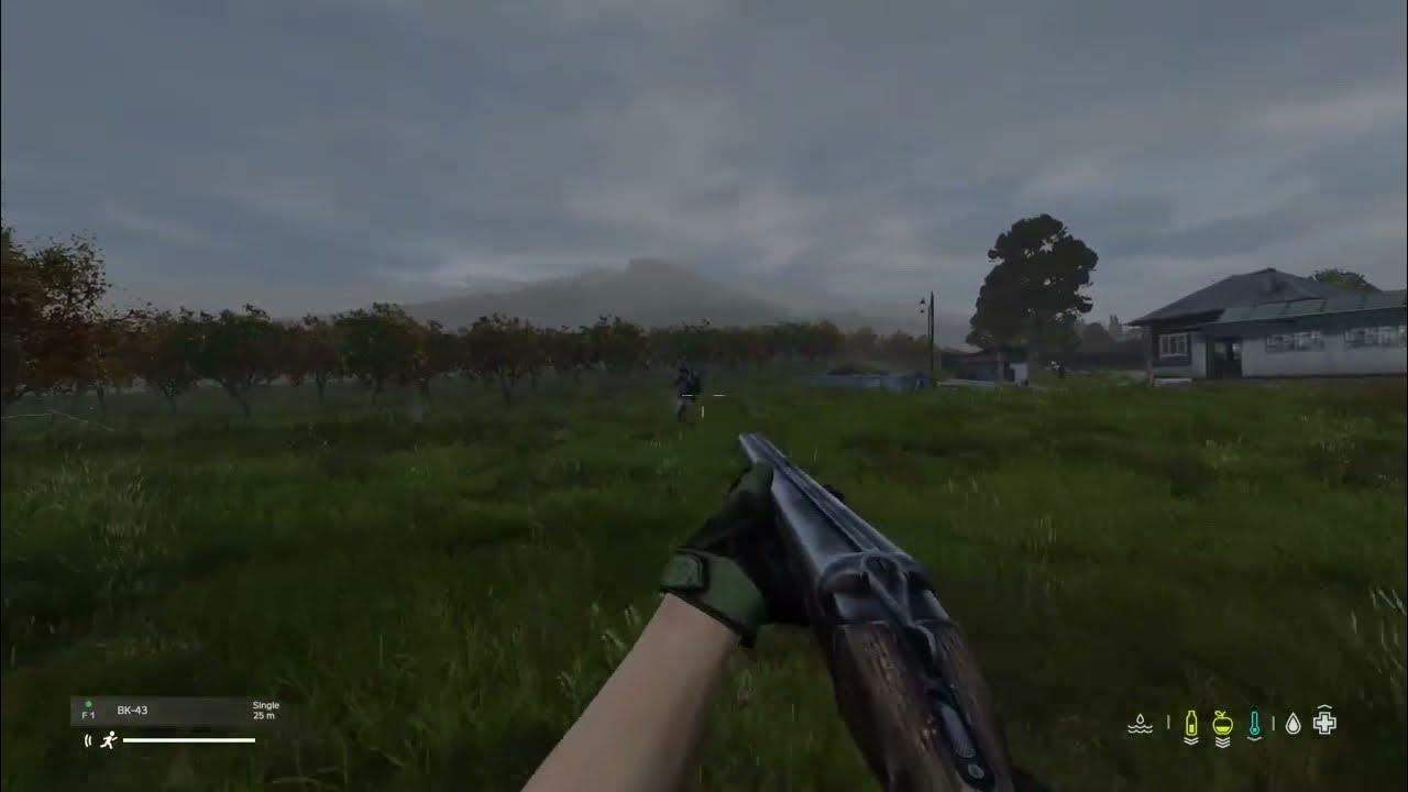 The Bk 43 is amazing in DayZ - YouTube