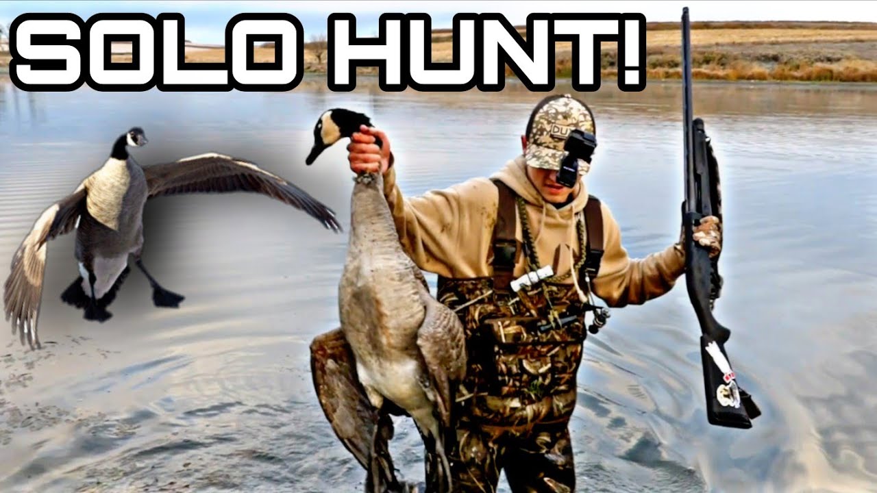 SOLO Public Land GOOSE HUNTING! (Water Hunt) - YouTube