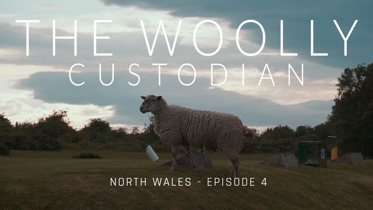 The Woolly Custodian - Holywell Golf Club - Episode 4 - YouTube