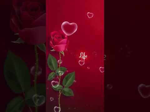 #happyanniversary   #rose #shorts  #viralshorts wedding anniversary songs