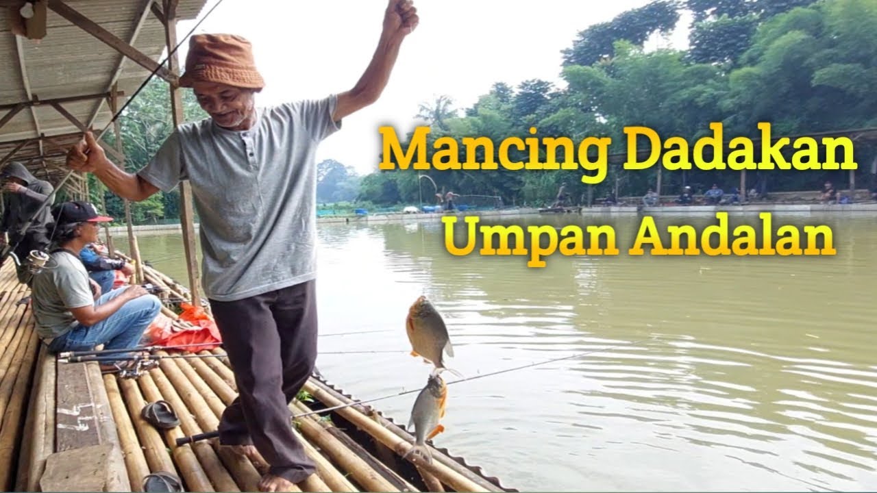 DADAKAN PENGEN MANCING || PEMANCINGAN ANDIR - YouTube