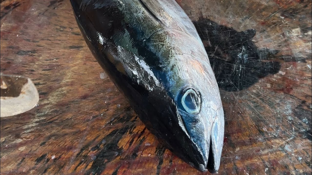 Parthiban Fish Cutting yellow fin Tona boneless, கேரை மீன்🎣🎣cutting ...