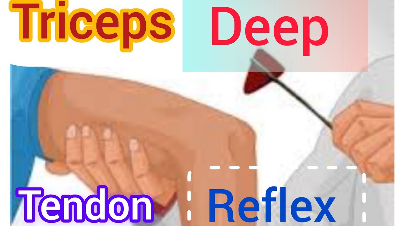 Triceps Reflex - YouTube