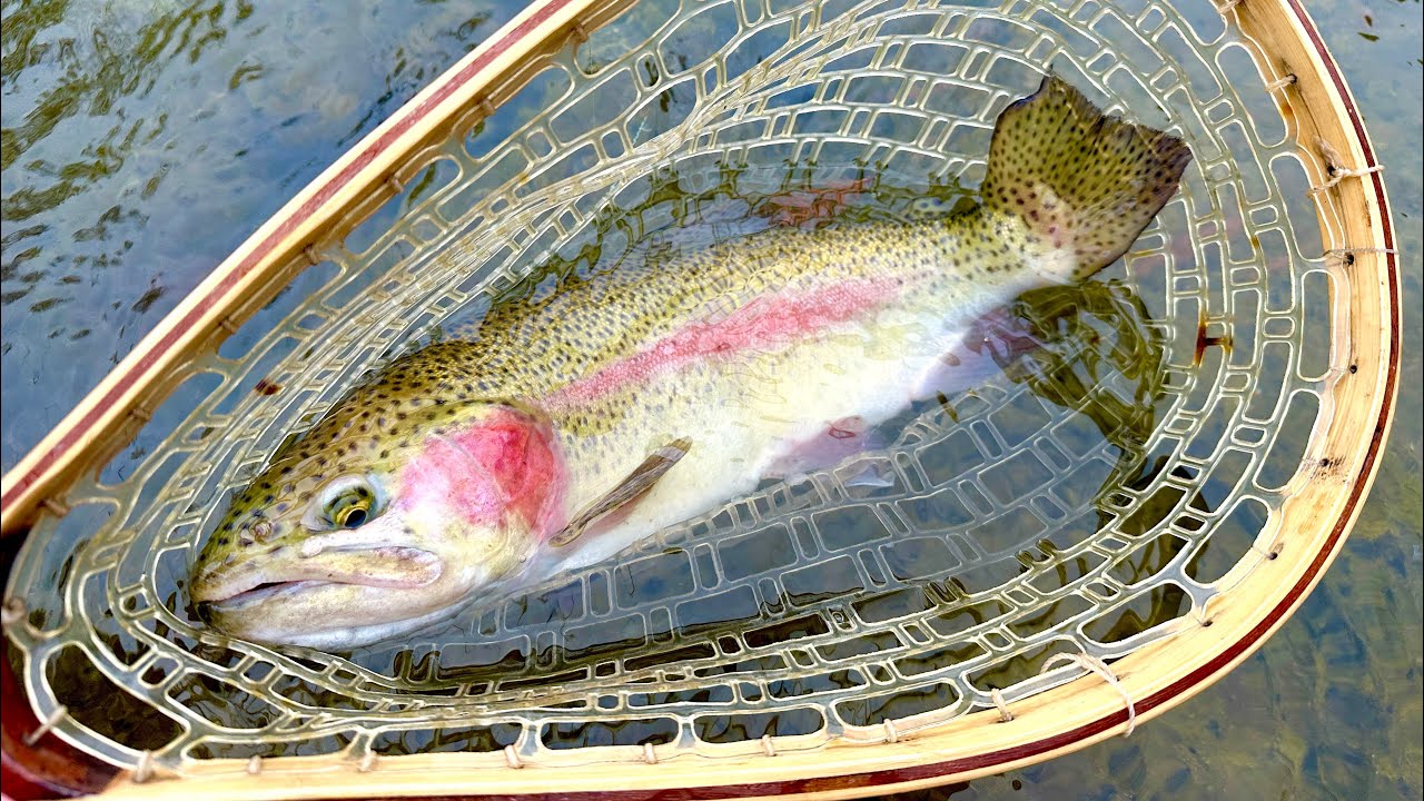 Fishing for Rainbow Trout in the Guadalupe River in 4K - YouTube