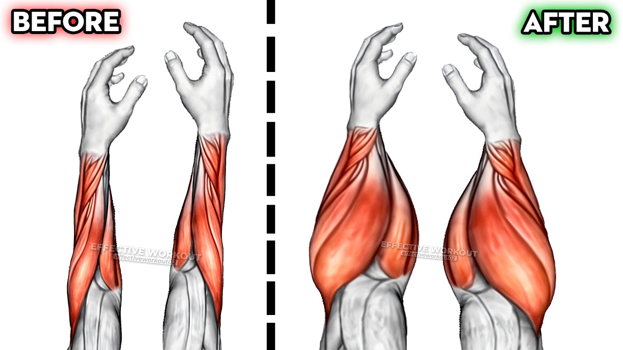 5 Secret Forearm Exercises for Freaky Size! - YouTube