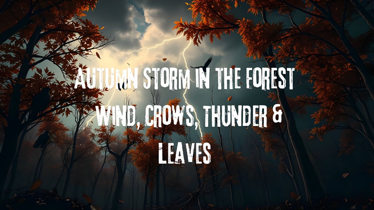Autumn Storm in the Forest | Wind, Crows, Thunder & Leaves | Relaxing ...