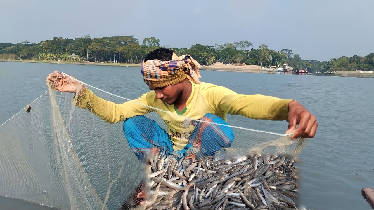 ঘন কুয়াশার মাঝে তেতুলিয়া নদী থেকে চেউয়া মাছ ধরা||River Chewa Fishing ...