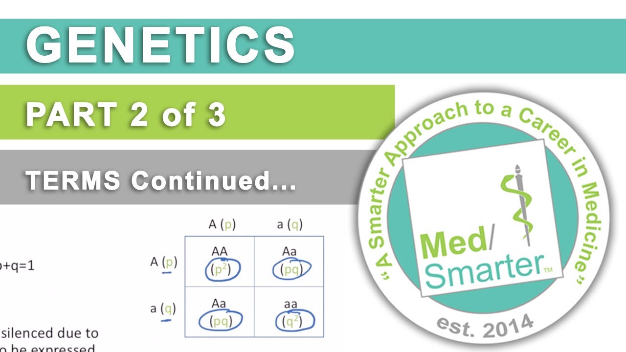 USMLE Step 1 | Genetics: Terms | MedSmarter | Part 2 of 3 - YouTube
