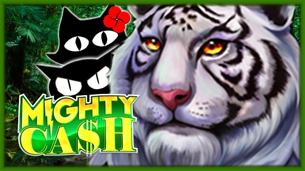 Wonder 4 🐃 HIGH LIMIT Mighty Cash 💰 The Slot Cats 🎰😸😺🌮 - YouTube