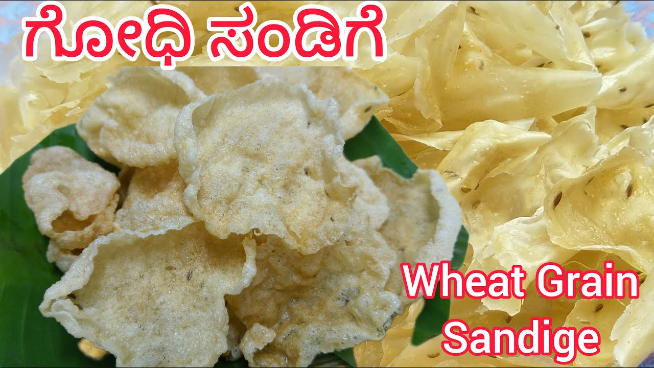 ಗರಿಗರಿ ಗೋಧಿ ಸಂಡಿಗೆ / SANDIGE with TIPS / Crispy Wheat Grain Sandige ...
