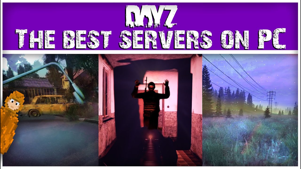 The best PC SERVERS on DayZ! - YouTube