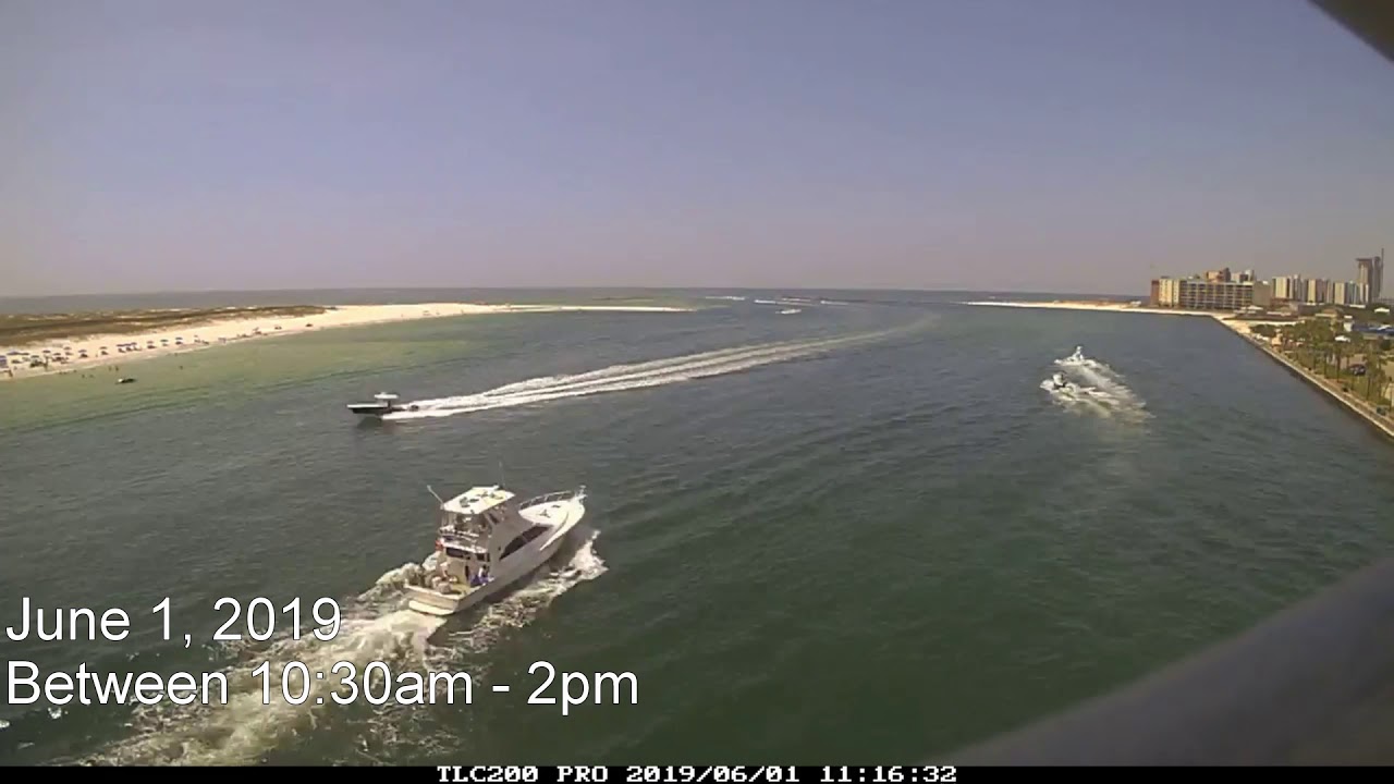 2019 Red Snapper Fishing season kickoff in Orange Beach, Alabama - YouTube