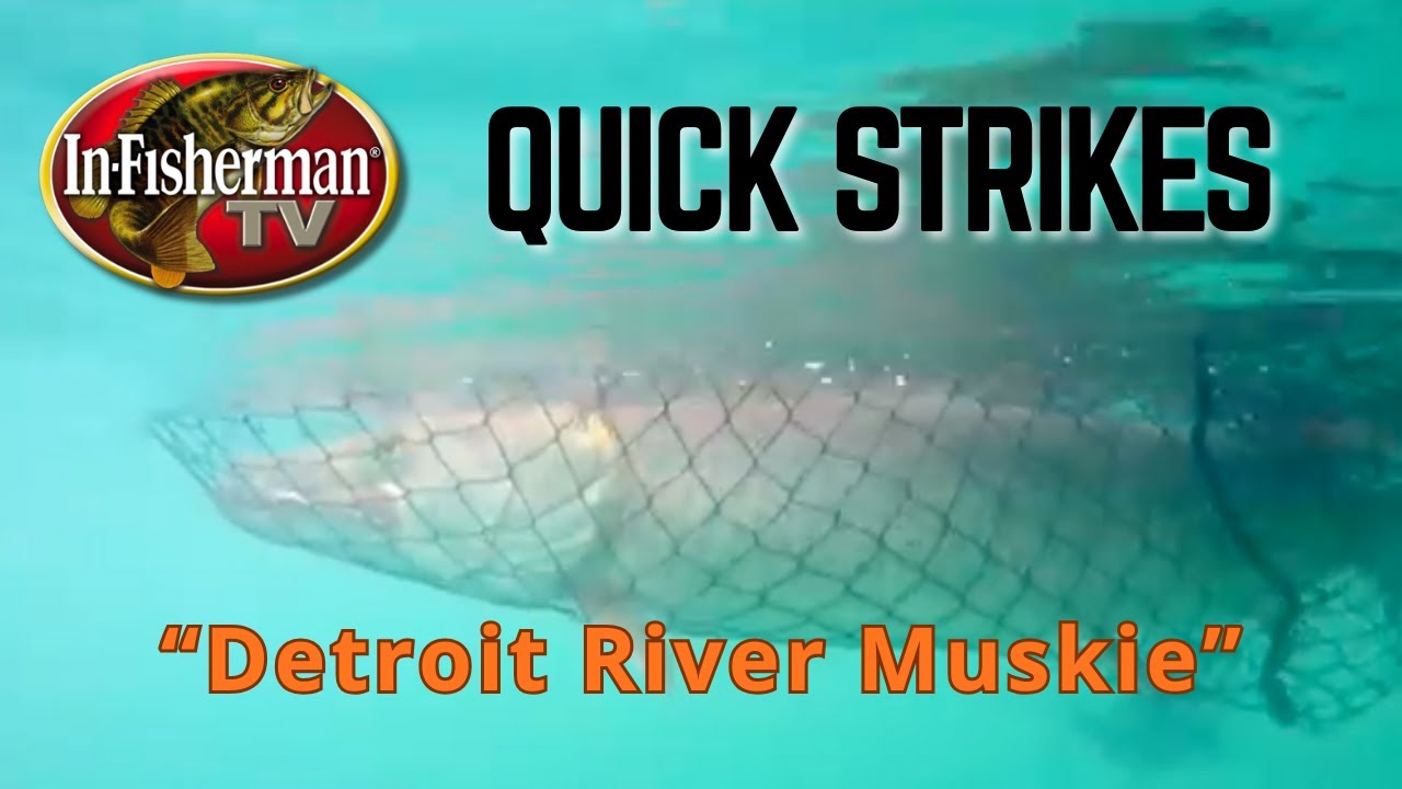 IN-FISHERMAN QUICK STRIKES – Detroit River Muskies with Jon Bondy - YouTube