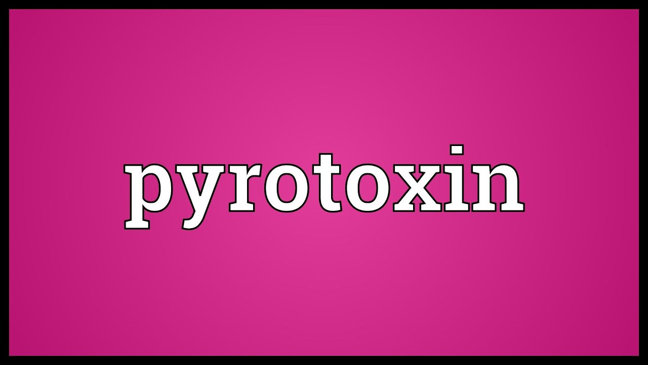 Pyrotoxin Meaning - YouTube
