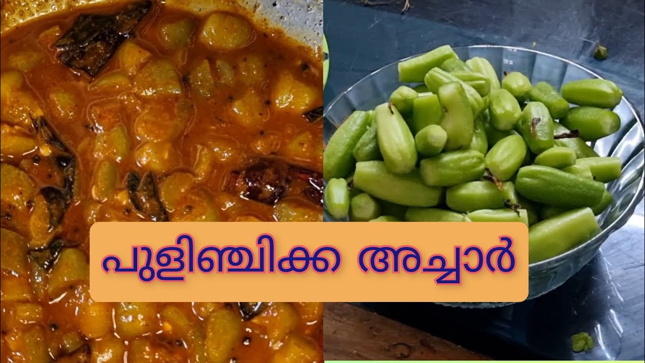 പുളിഞ്ചിക്ക|ഇരുമ്പൻപുളി അച്ചാർ|pulichikka pickle recipe in Malayalam ...