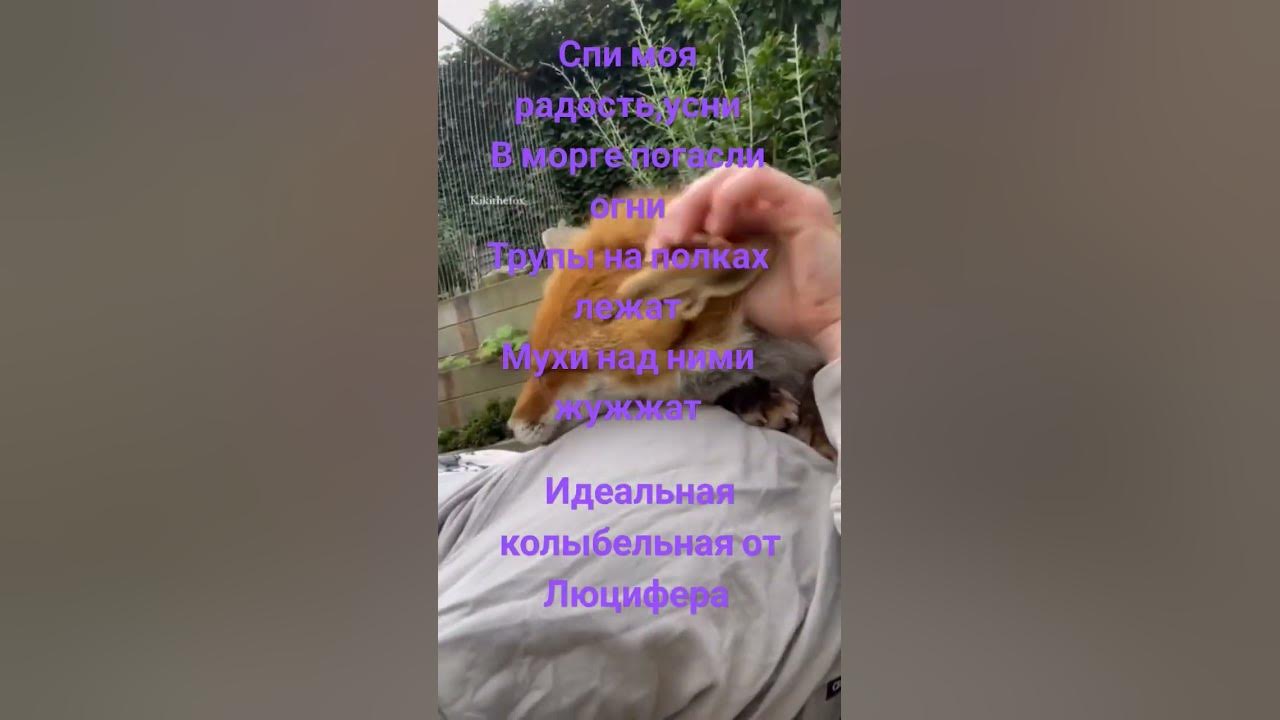 ХАХАХАХАХАХАХАХХАХАХАХА р е к о м е н д а ц и и яваслюблю приколы