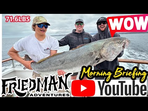 Sea Jay sinks at Santa Cruz Island, a 71.6LB white seabass, barracuda ...