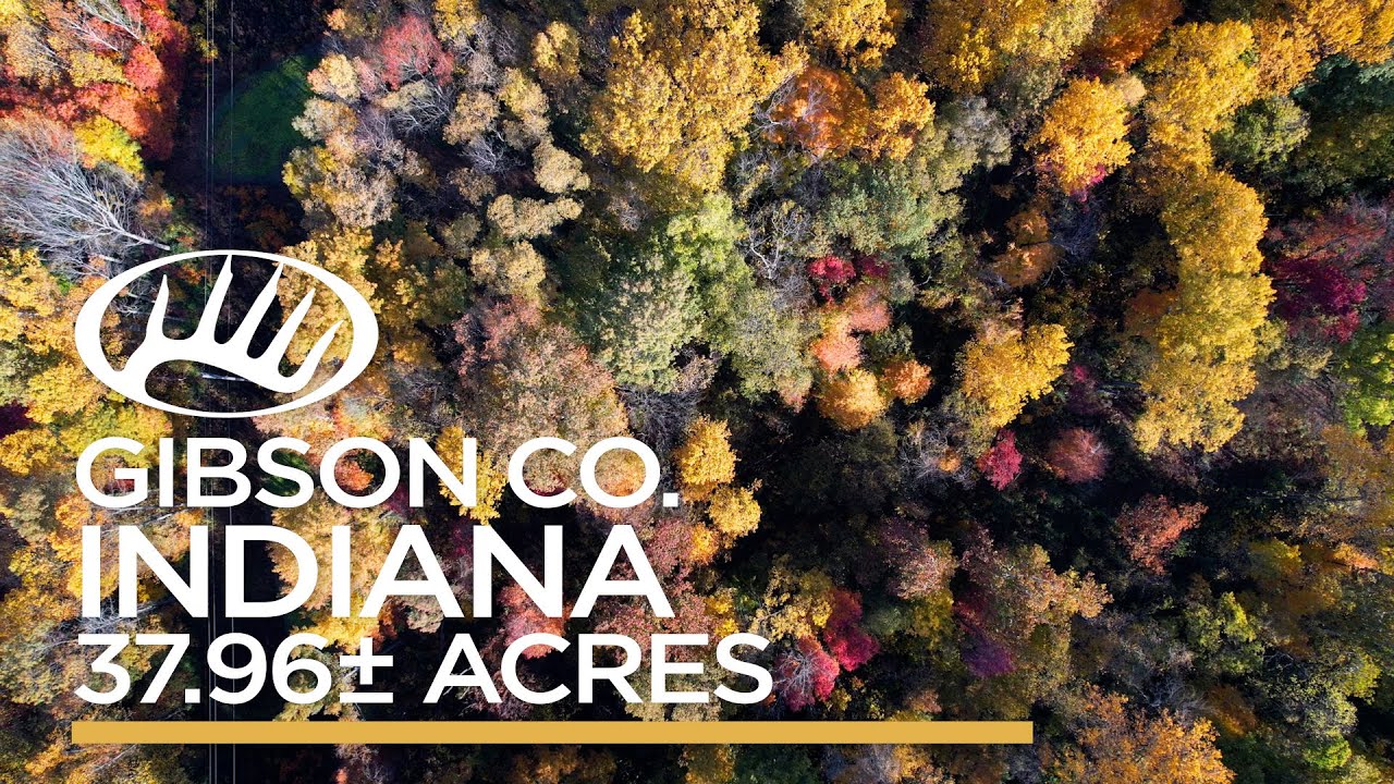 Gibson County, IN 37.96± Acres - YouTube