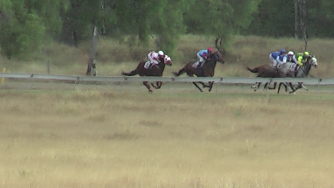 THANGOOL RACES 14th April 2018 - YouTube