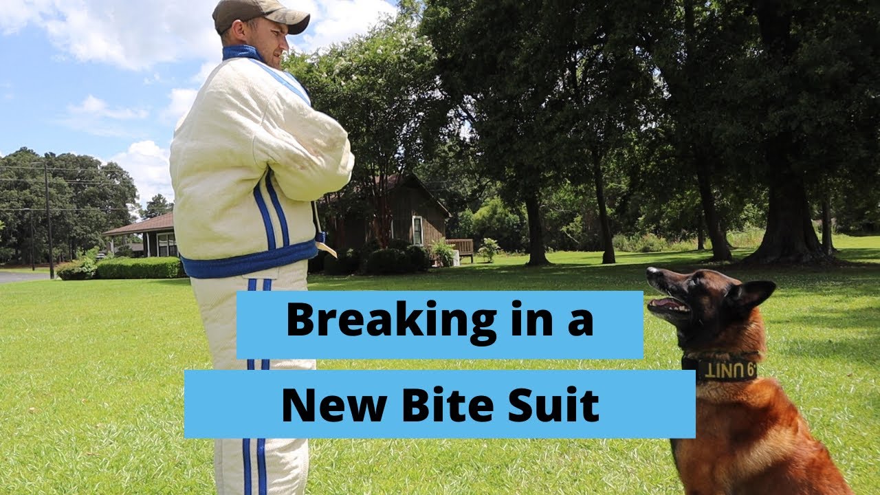 Breaking in a new Bite Suit - YouTube