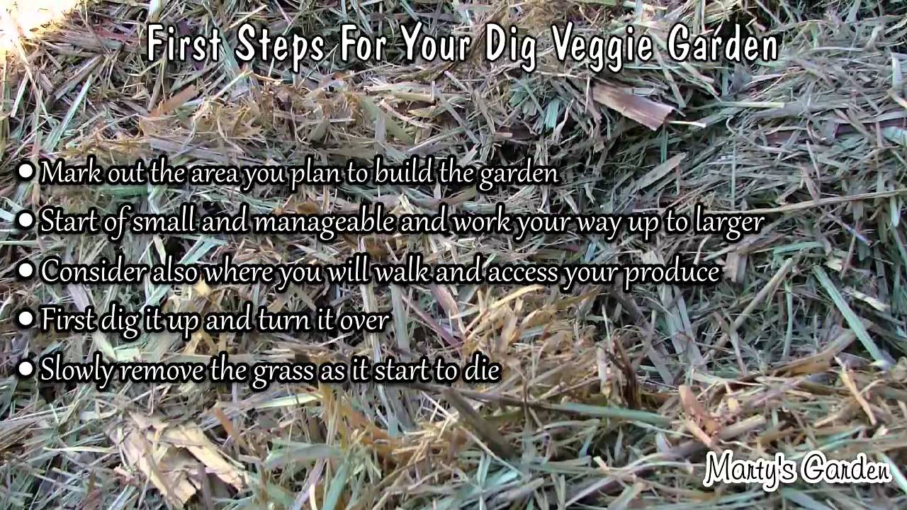 How to Start a Dig Vegetable Garden - YouTube