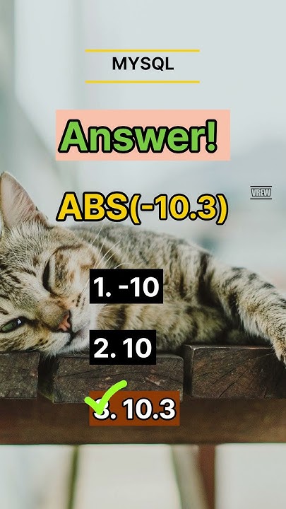 We can do MASTER SQL abs function #quiz #coding #mysql #master #oracle #daily - YouTube
