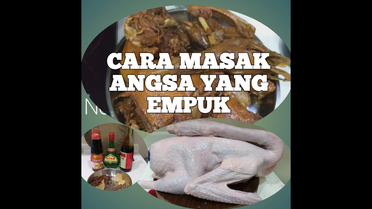CARA MEMASAK ANGSA YANG EMPUK DAN ENAK - YouTube
