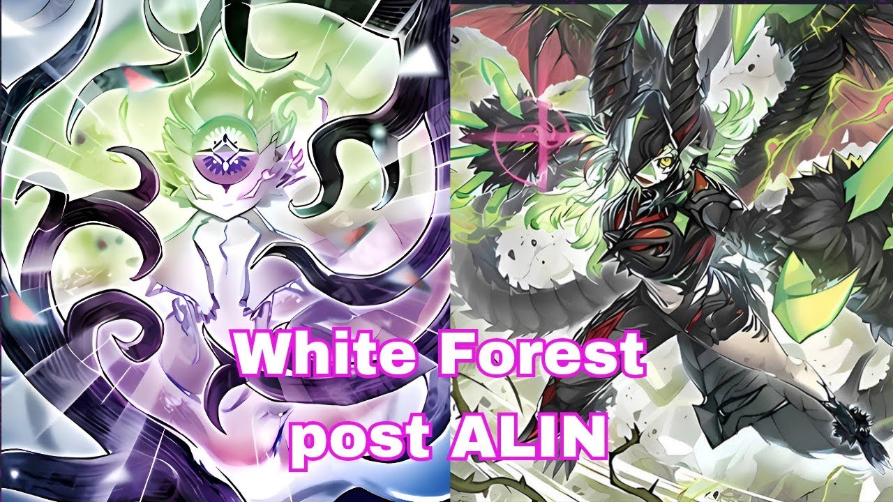 白き森 White Forest Pure Combo post ALIN - YouTube