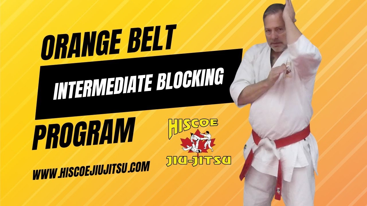 Mastering Can-Ryu Jiu-Jitsu - Intermediate locking Techniques with ...