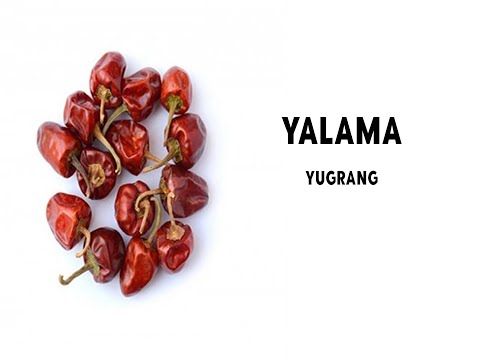 Yugrang - Yalama [Official Music Video]