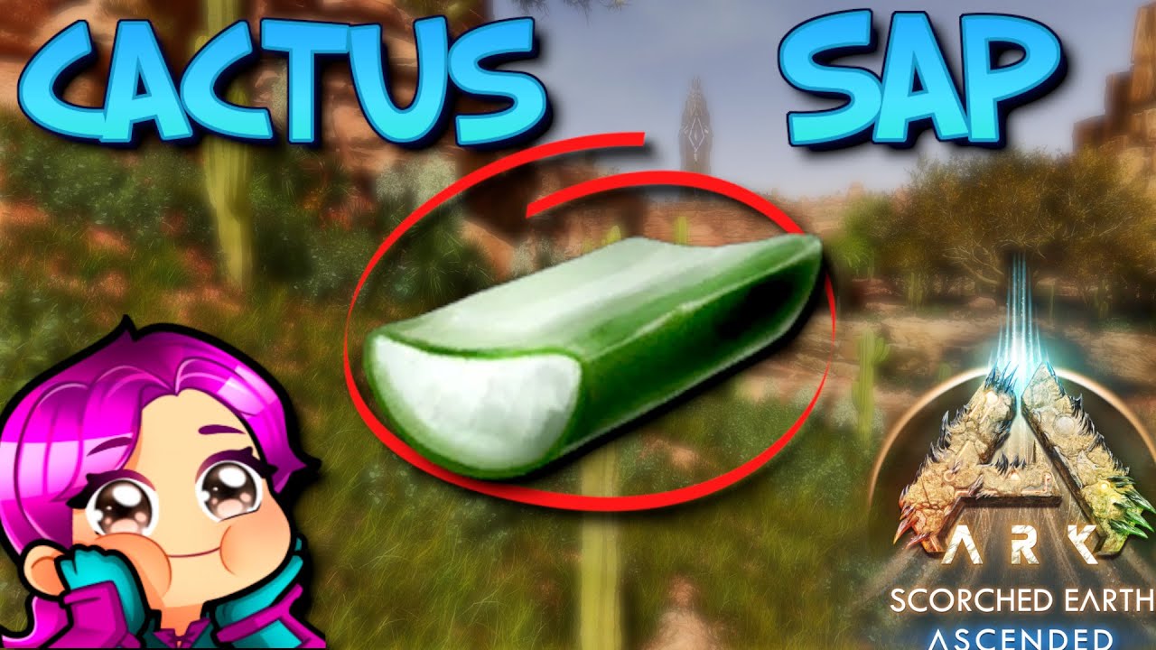 WHERE TO FIND CACTUS SAP - SCORCHED EARTH - Ark Survival Ascended - YouTube