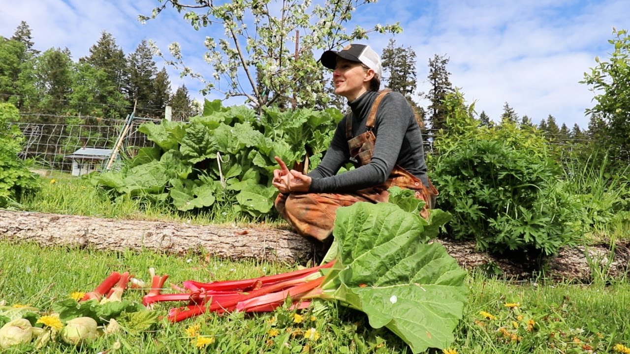 Spring Bounty | Victorian BBQ Sauce, Rhubarb Concentrate, Pickled ...