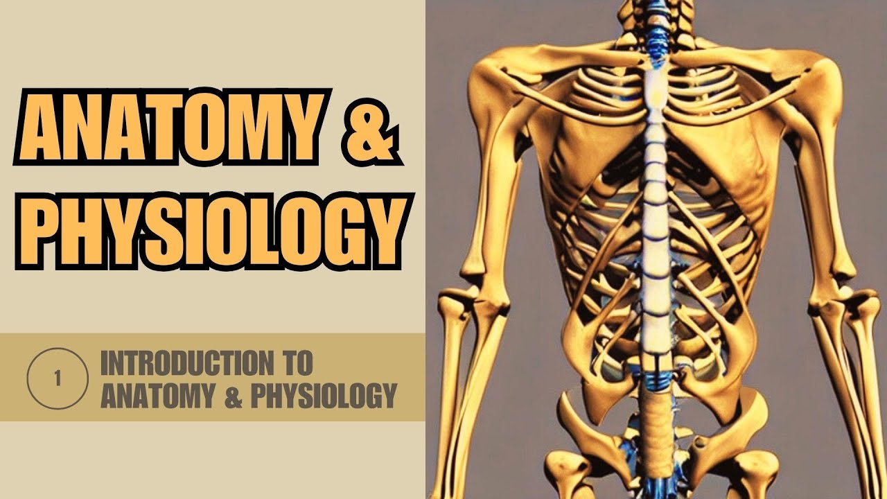 Introduction of Anatomy and Physiology | Pharmacy Technician | Lecture ...