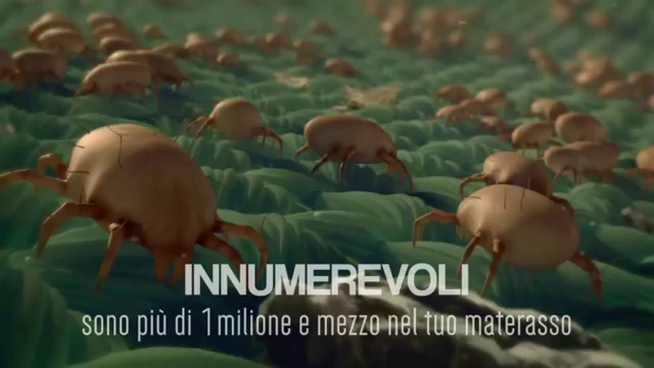 Gli acari sono dappertutto. Come combatterli? - YouTube