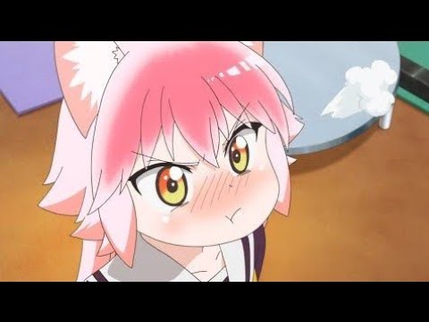 Seton Academy : join the pack! - Ranka is in heat - YouTube