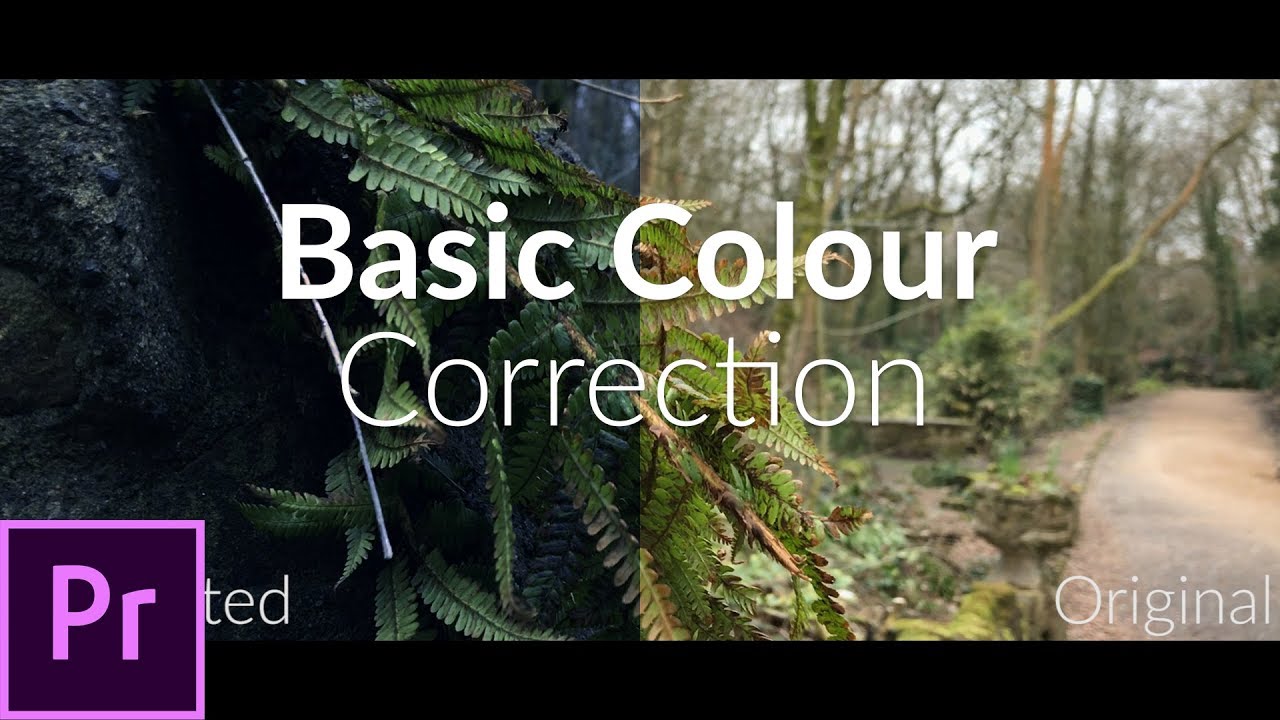 Basic COLOUR CORRECTION in Premiere Pro using LUTs - Tutorial for ...