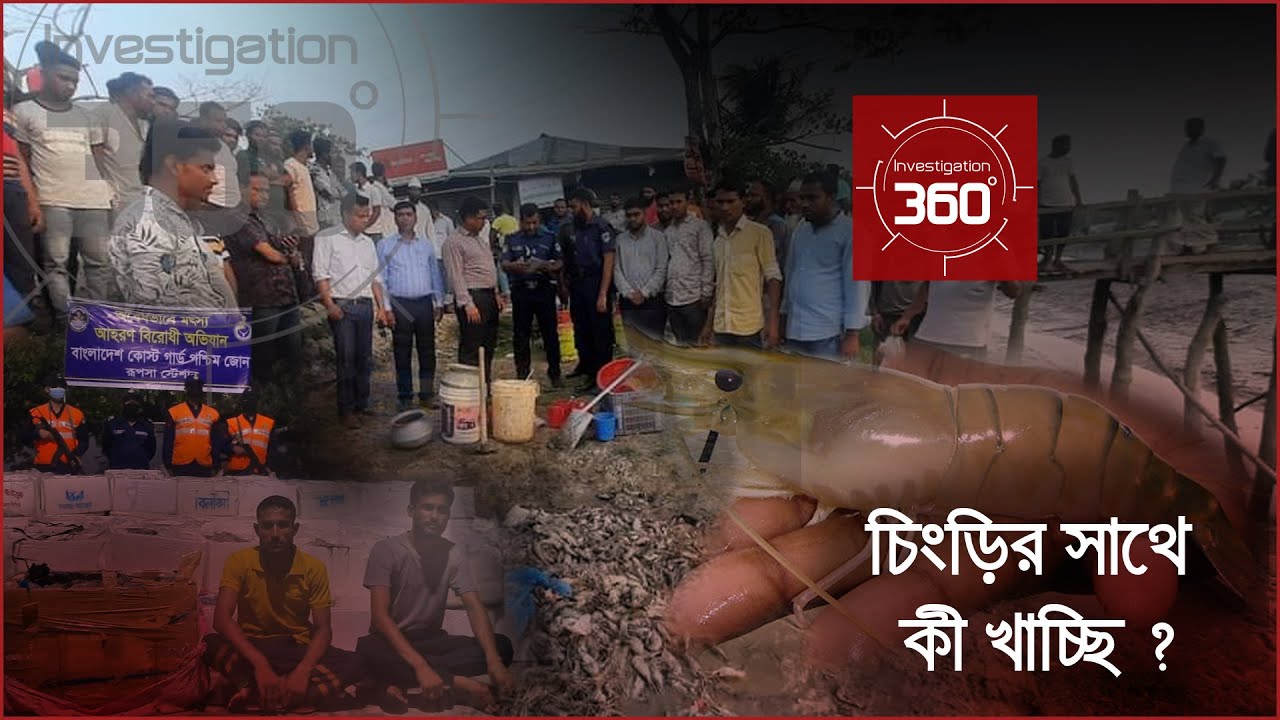 চিংড়ির সাথে কী খাচ্ছি? | Investigation 360 Degree | EP 316 - YouTube