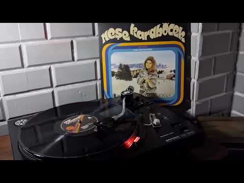 NEŞE KARABÖCEK- DEMİYOMMU