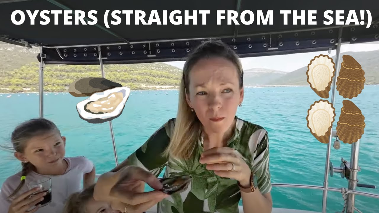 OYSTER-TASTING straight from the sea (plus Ston, Peljesac, wine and ...