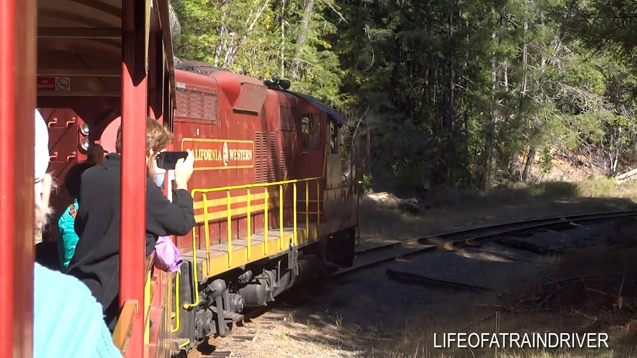 Riding the SKUNK Train in the California Redwoods - YouTube