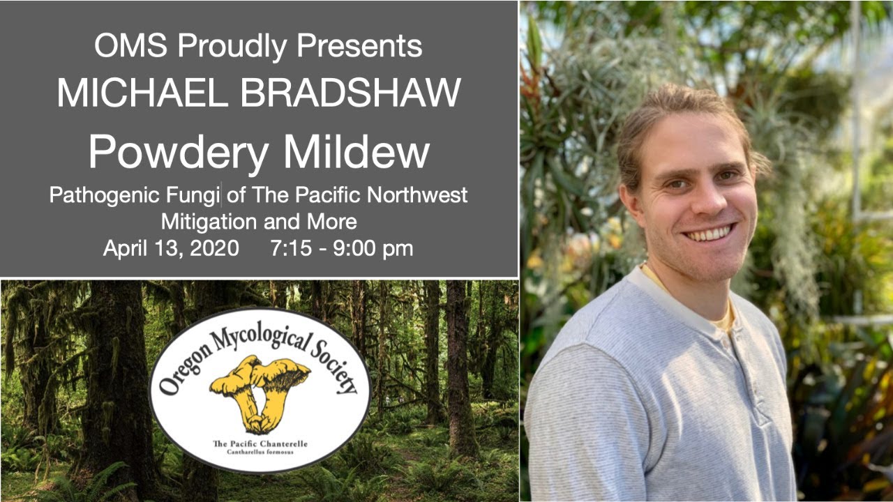LIVE: MICHAEL BRADSHAW: Powdery Mildew - Pathogenic Fungi of the PNW ...