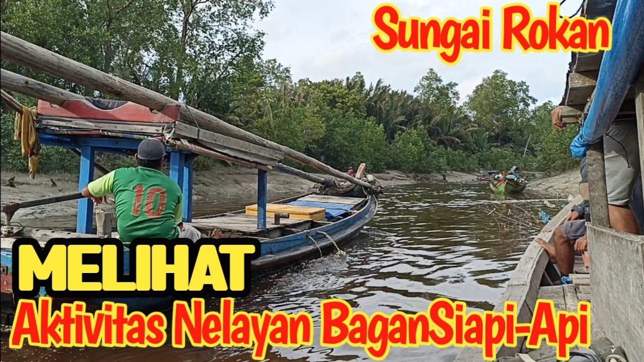 Melihat Aktivitas Arus Balik Nelayan Bagansiapi-Api di Sungai Rokan ...