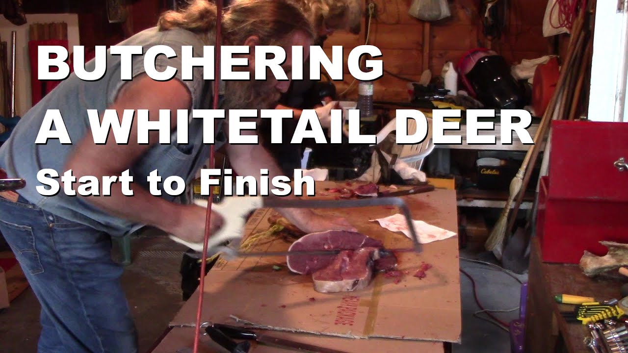 Butchering a Whitetail Deer - Start To Finish - YouTube