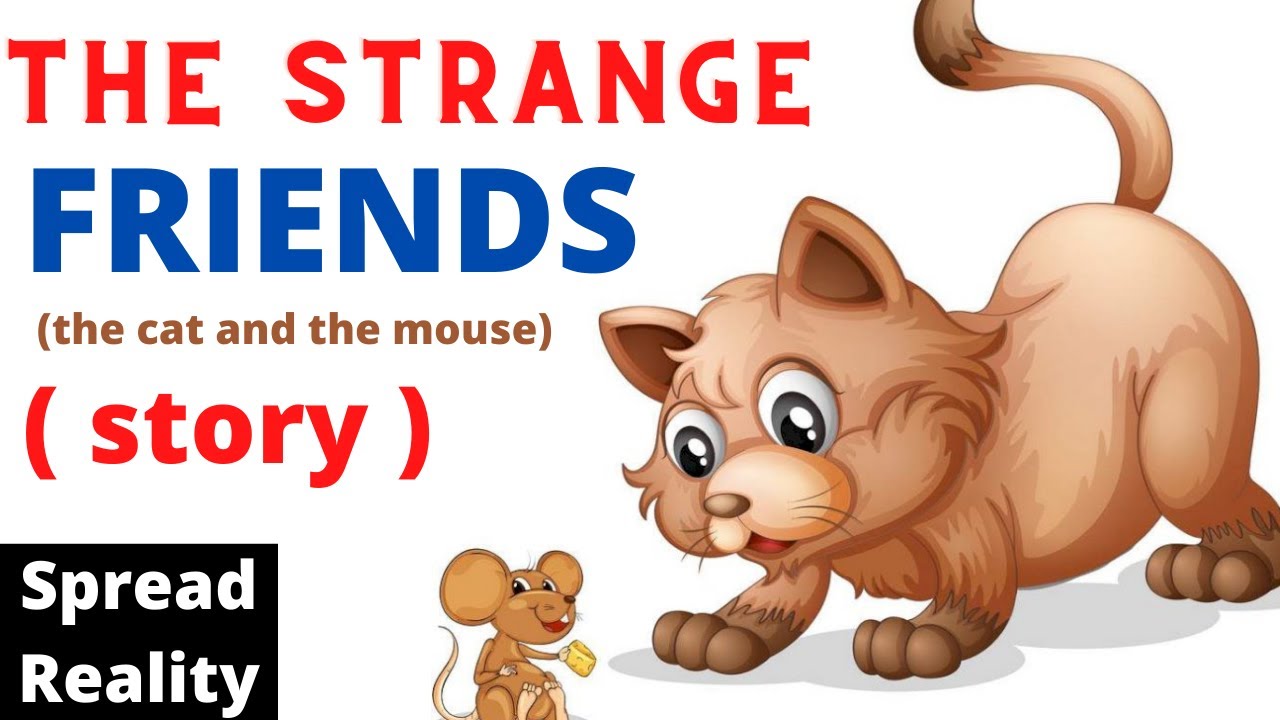 The STRANGE FRIENDS || The Cat and the Rat - YouTube