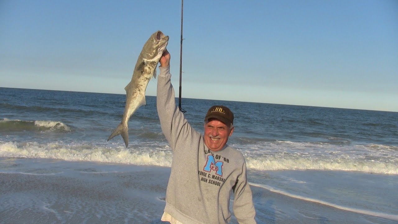 In Honor of Dave Updegrove - YouTube