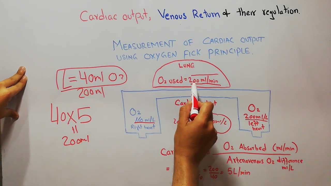 CVS 186 || Oxygen fick principle for measurement of cardiac output ...