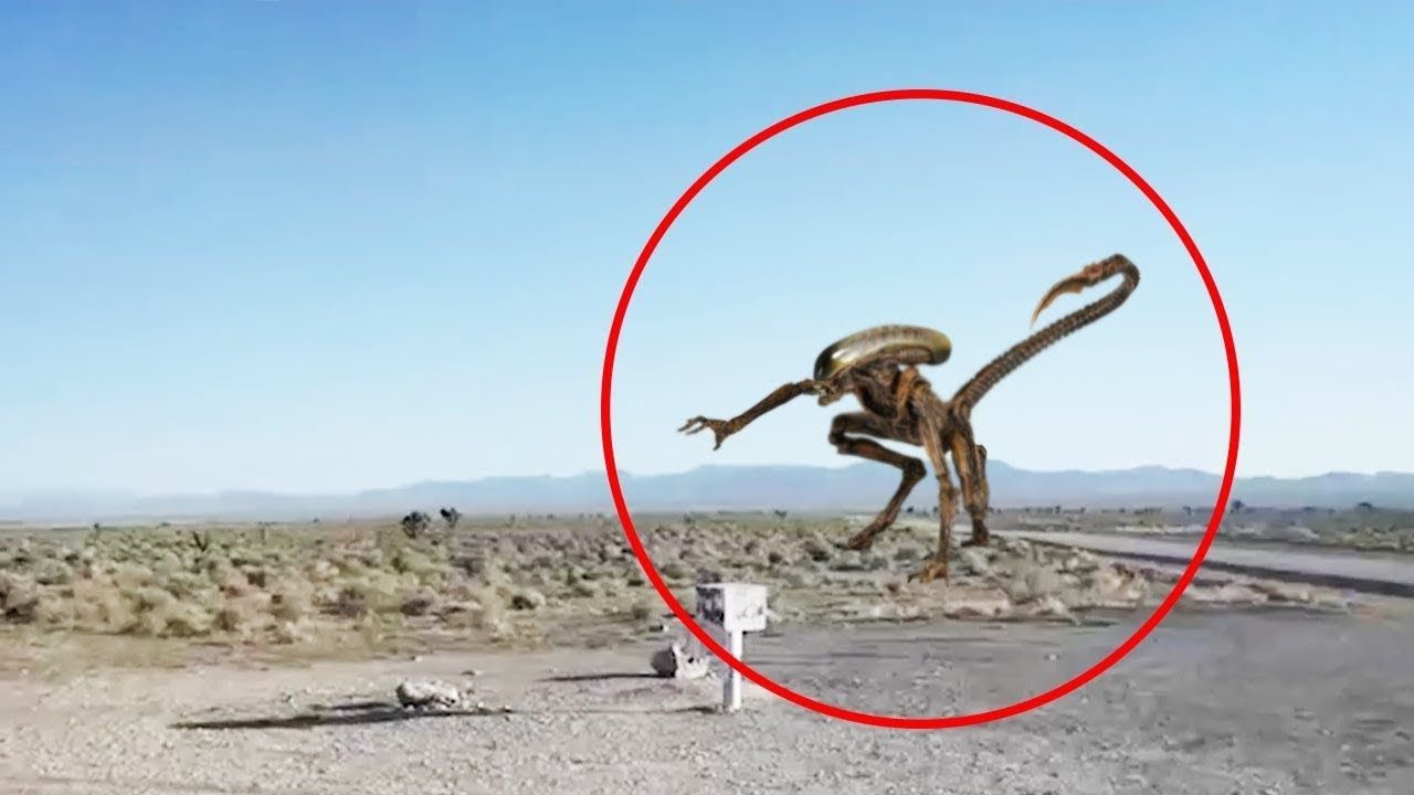 5 MOST Mysterious Sightings Of Unknown CREATURES Captured on Camera - YouTube