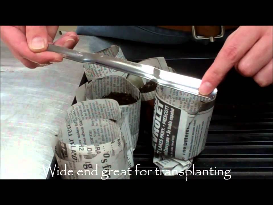 Widger Seedling Tool.wmv - YouTube