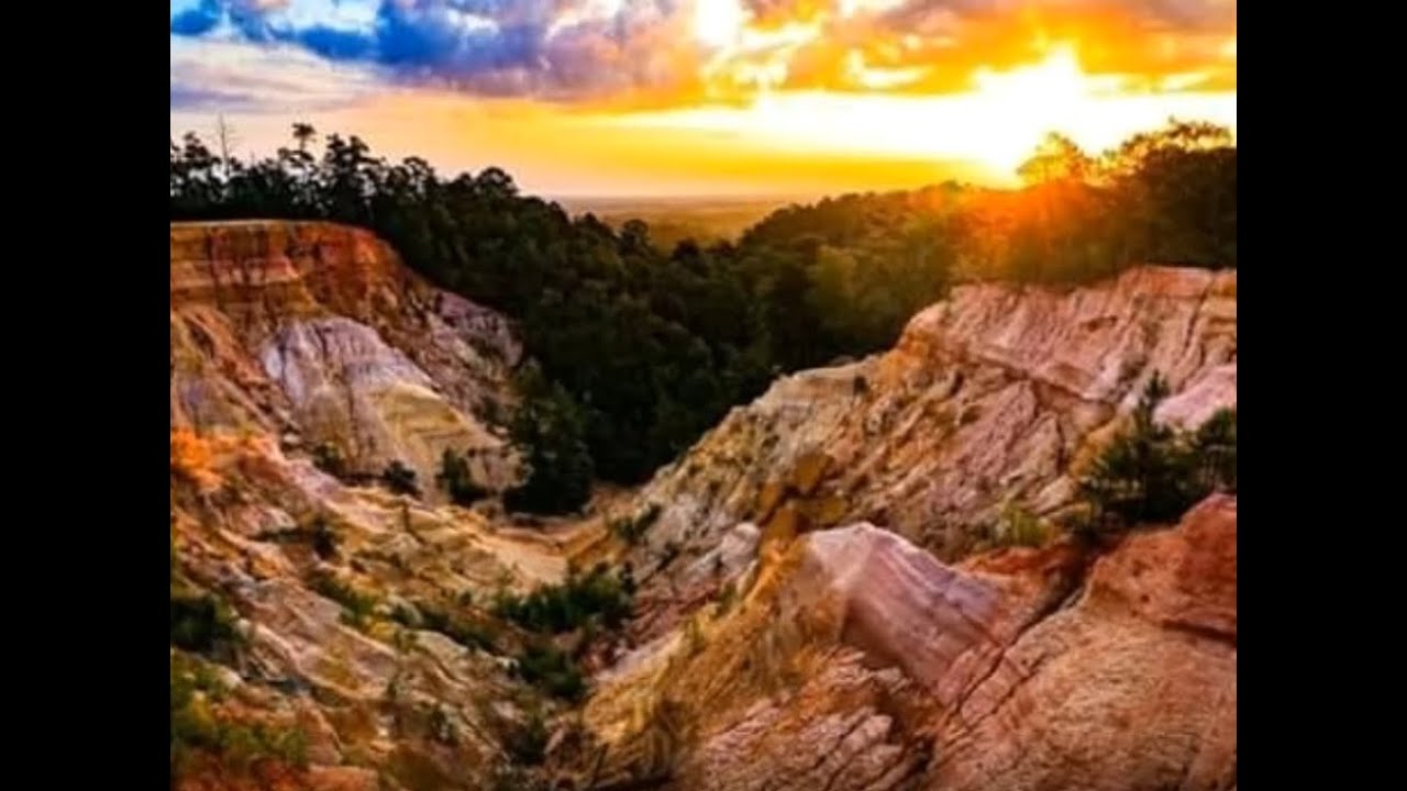 Stanley Earle Ratliff and the Earth Dog Tribe / Bound By The Mud - YouTube