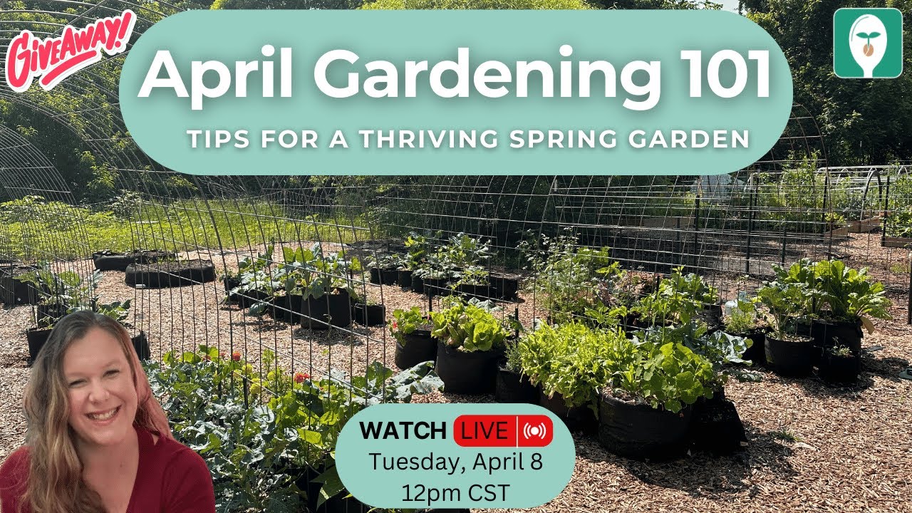 April Gardening 101: Tips for a Thriving Spring Garden - YouTube